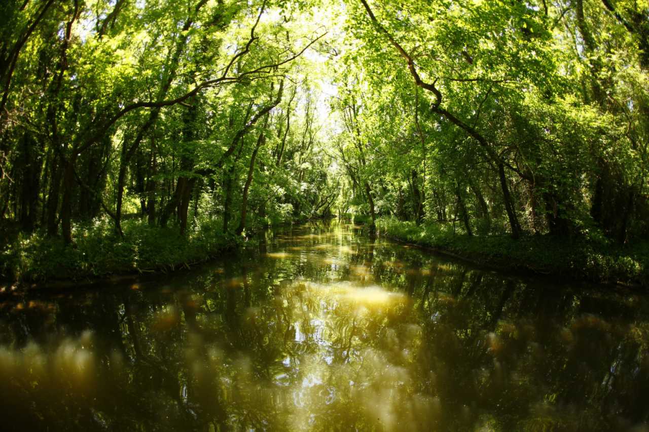 Ein dreijähriges Projekt im Naturschutzgebiet Baltata bei Albena wurde ...
