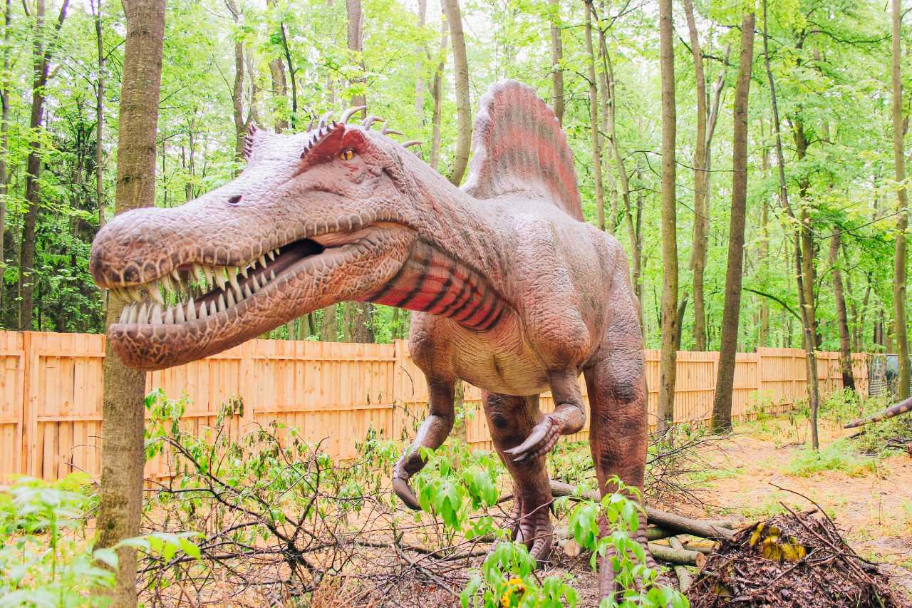 Dino Park with more than 30 dinosaurs in Albena Resort